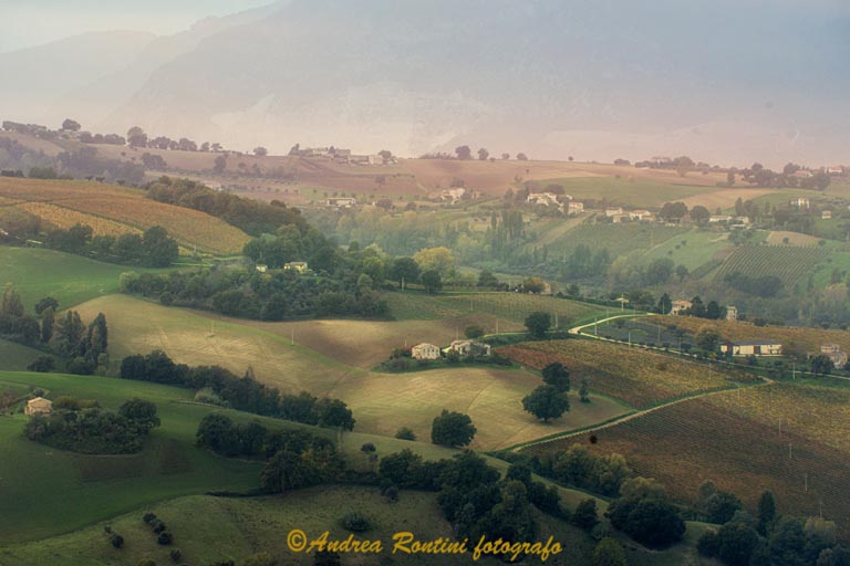 Campagna Marchigiana - blog.andrearontini.it